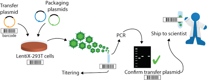Viral Production at Addgene